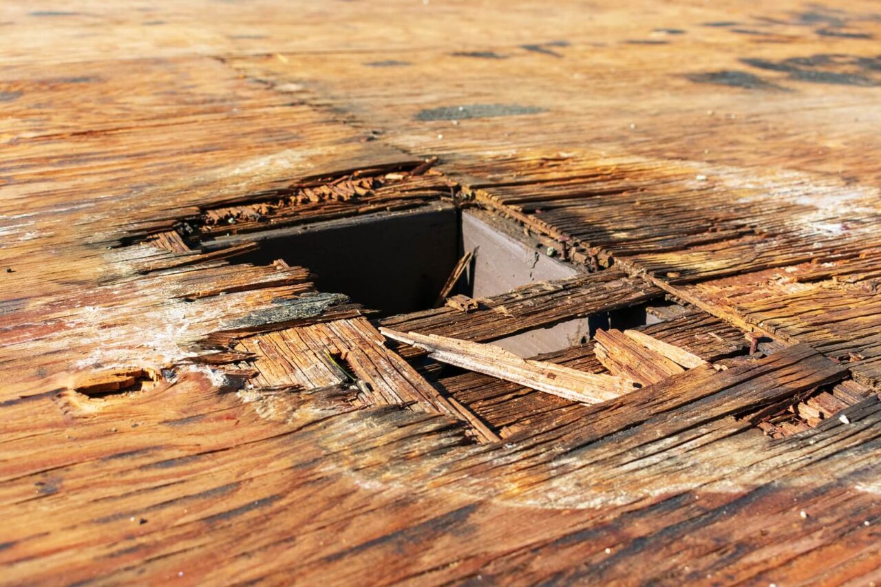 Do I Have Dry Rot or Wet Rot in My Building?